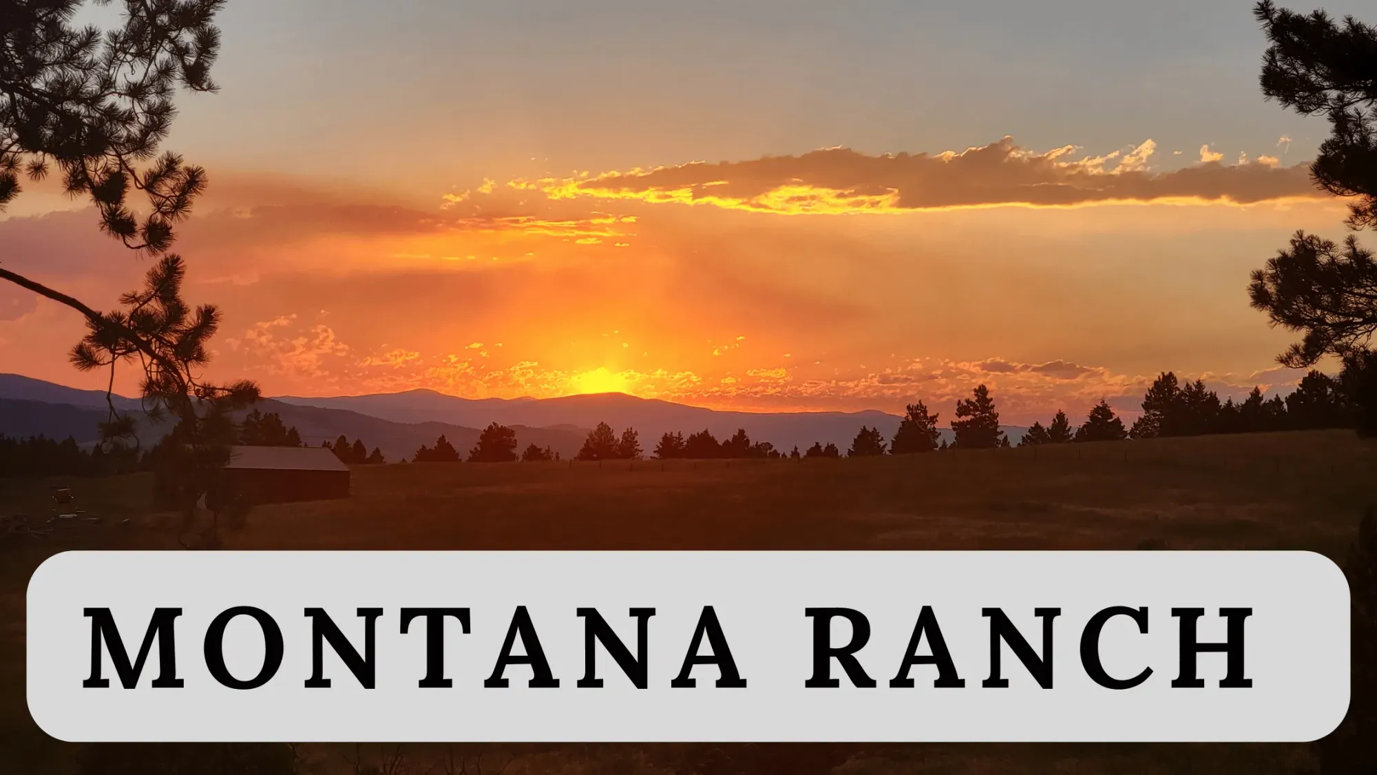 Montana Ranch (future)